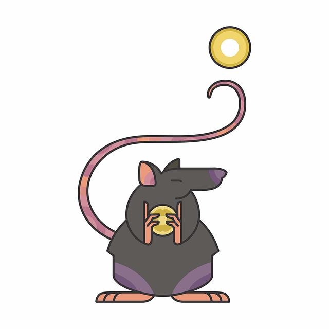 The Chinese Zodiac Explained