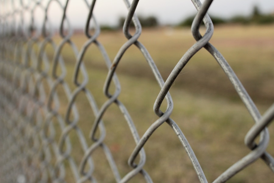 How Wire Fencing Protects Your Home and Land
