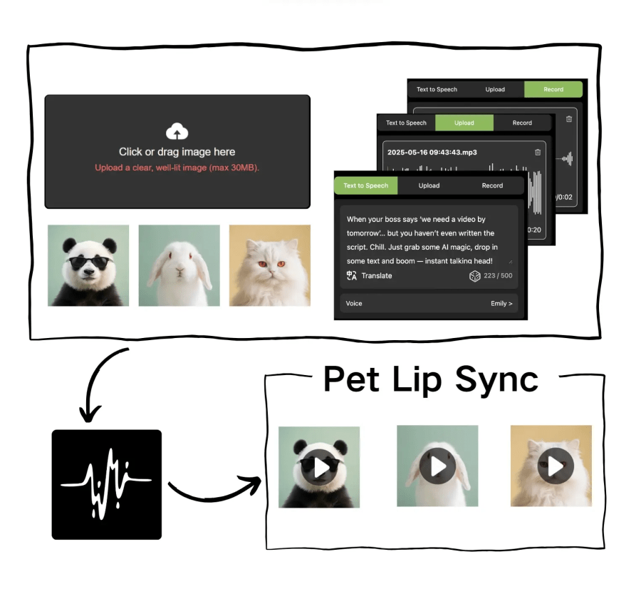 How LipSync.Video Is Powering the Viral “Talking Pets” Trend With AI ...