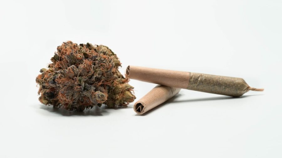 Navigating the Green: A Guide to Choosing the Best Weed Delivery Service