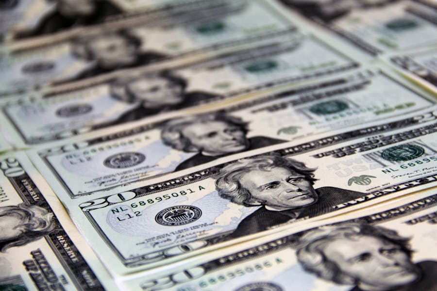 Money Back Plan: Advantages & Disadvantages You Must Know